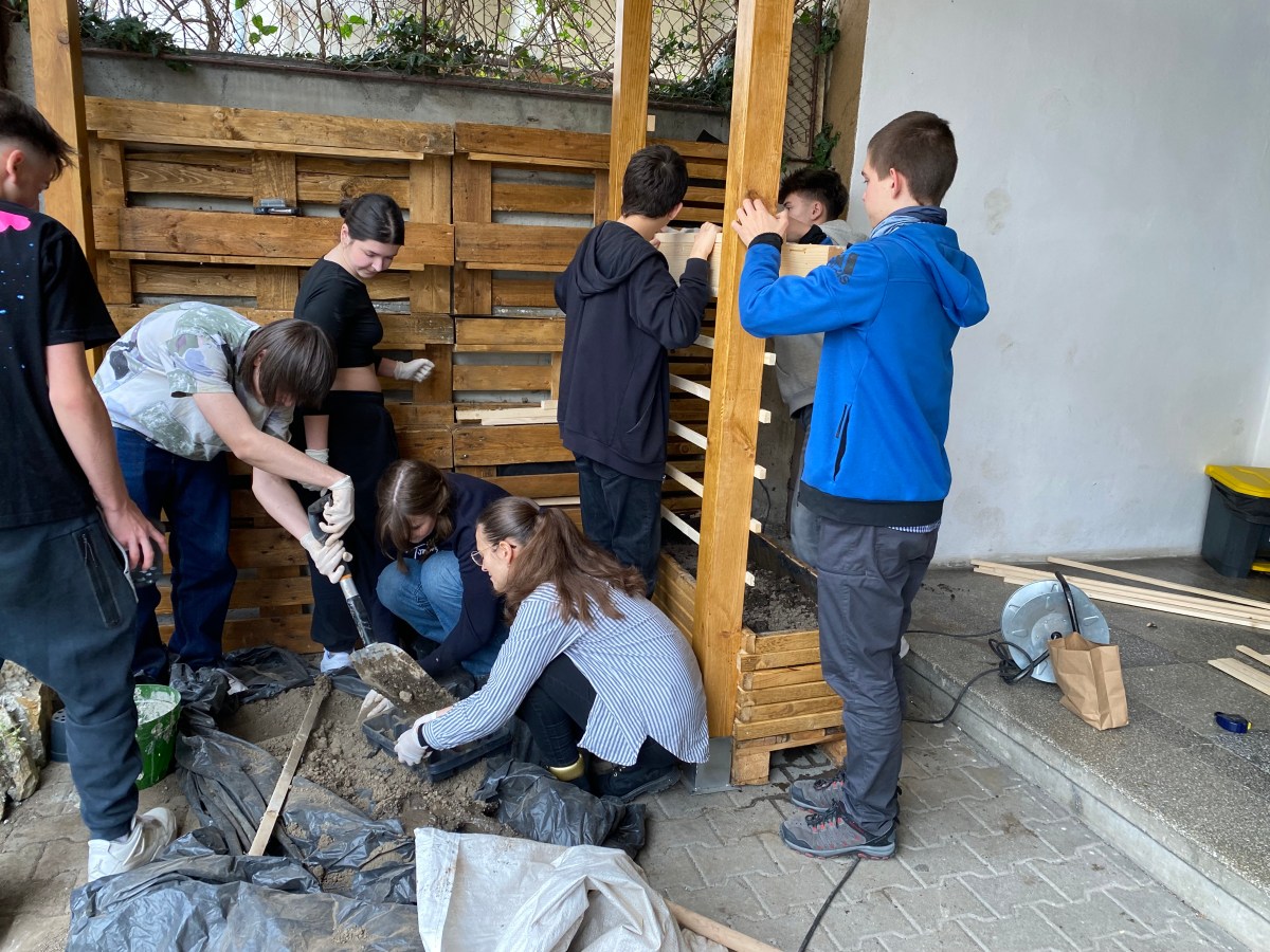Verdele vertical: Grădina Școlii realizată de elevi ai clasei a IX-a B ...